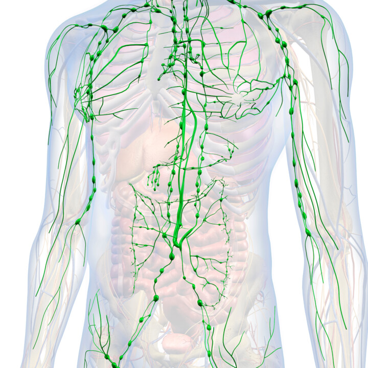 Lymphatic Drainage | Body Unity